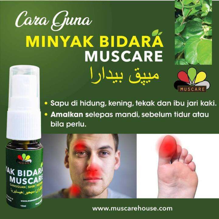 Minyak Bidara Muscare | Lazada