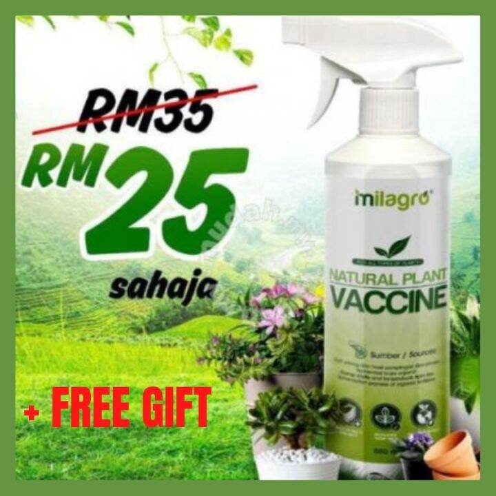 NATURAL PLANT VACCINE NPV MILAGRO 500ml Dari Kulit Udang Untuk ...