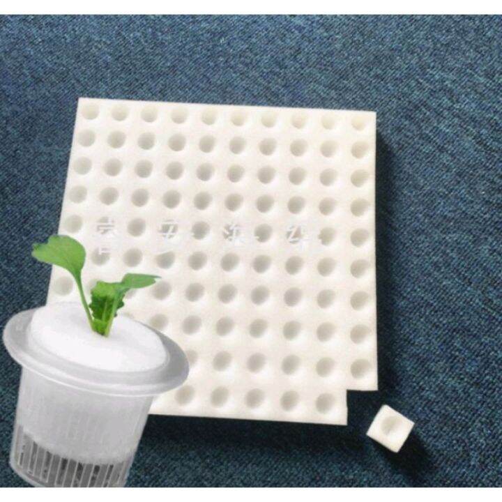 HYDROPONICS SEEDLING SOWING SPONGE SOILLESS HYDROPONICS SEEDLING ...