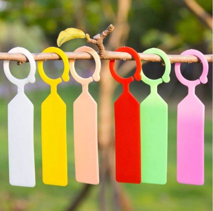 Plant Hanging Tag/Plant Hanging Label/Penanda Pokok/Plant Tag : Plastic ...