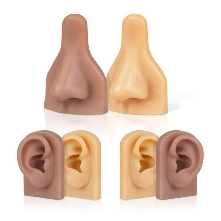 Silicone Body Parts Human Ear Body Parts Simulation Model Realistic ...