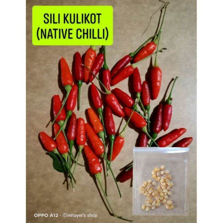 Sili Kulikot Seeds (Native Chilli) super anghang | Lazada PH