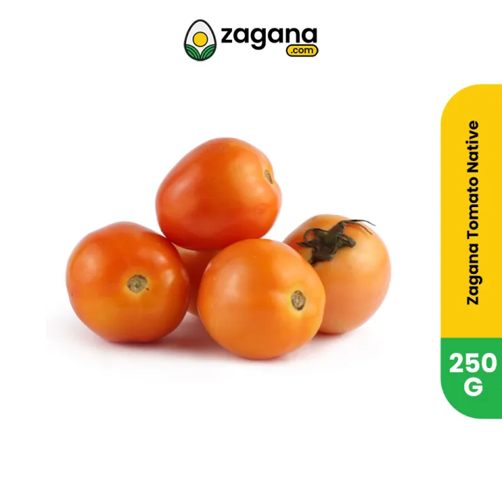 Zagana Farm Fresh Vegetables Tomato Native 250g | Lazada PH