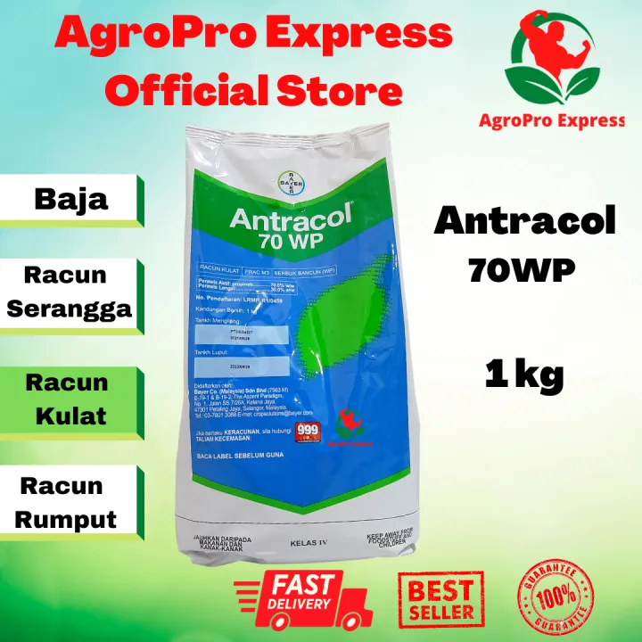 Bayer Antracol 70WP 1KG Racun Kulat Fungicide Propineb 80.0% Sawi Cili ...