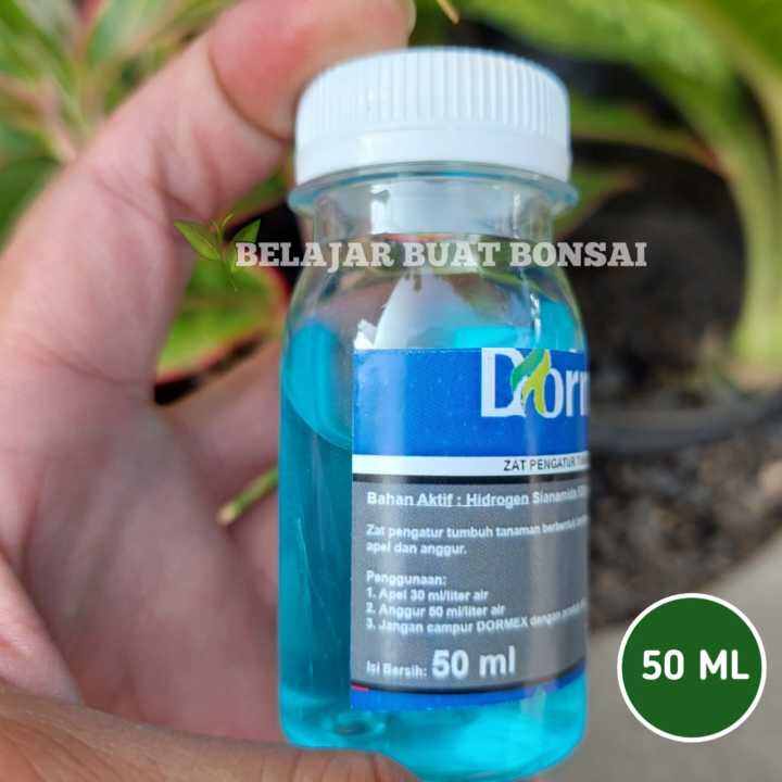 Dormex 520 SL Hormon ZPT Apel Dan Anggur Kemasan Repack 50 ML | Lazada ...