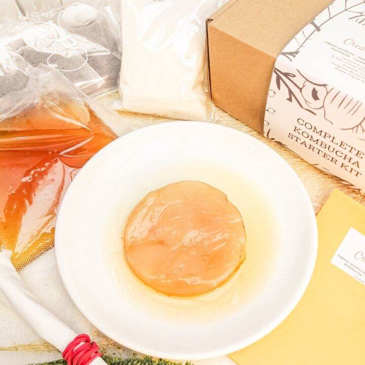 SCOBY D-I-Y KOMBUCHA STARTER KIT COMPLETE AND BASIC SETS PROBIOTIC ...