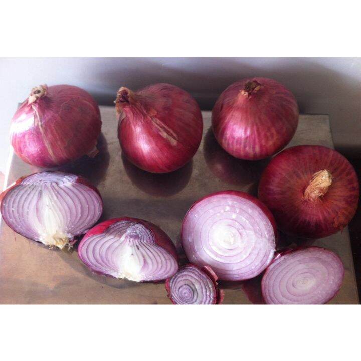 Red Onion Sibuyas Vegetable Seeds (100 seeds ) - Basic Farm House ...