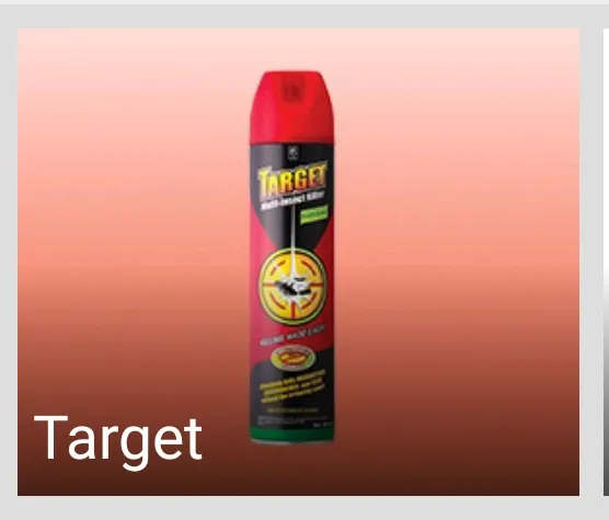 Target Multi-Insect Killer 300mL | Lazada PH