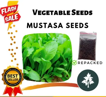 Mustasa Clipart
