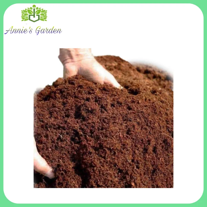 500g High Quality Coco Peat for Gardening / Pets / Hydroponics | Lazada PH