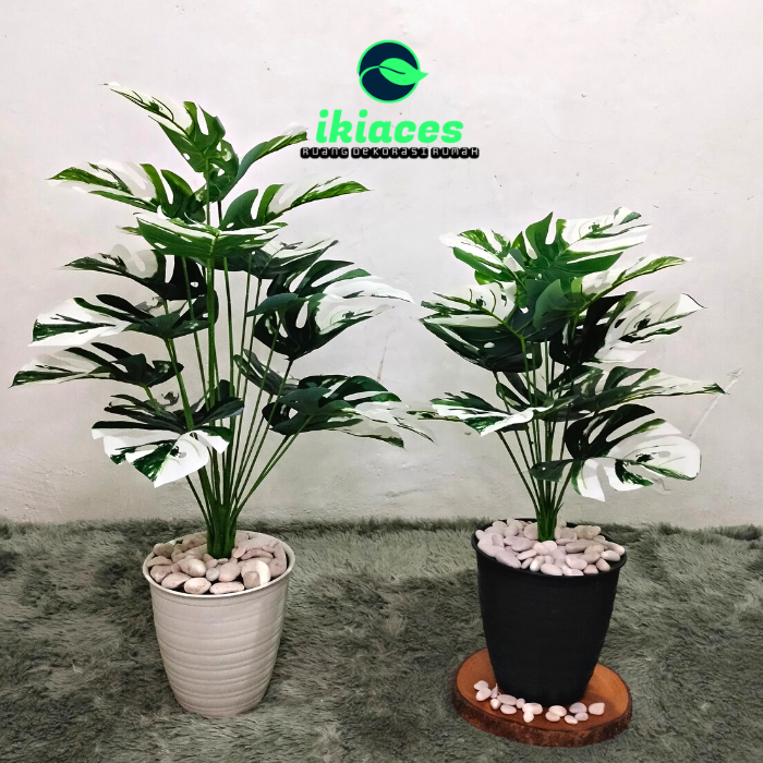 POHON MONSTERA JUMBO ARTIFICIAL DAUN MONSTERA PLASTIK POT MONSTERA ...