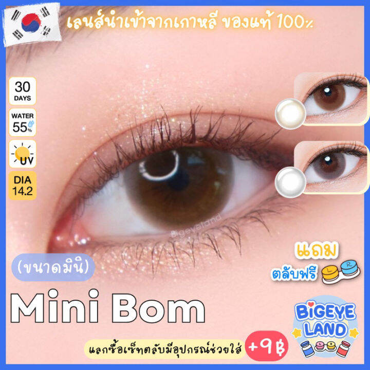 คอนแทคเลนส์ Mini Bom Brown / Gray (Kitty Kawaii) ขนาดมินิ 🌷เนียน ...