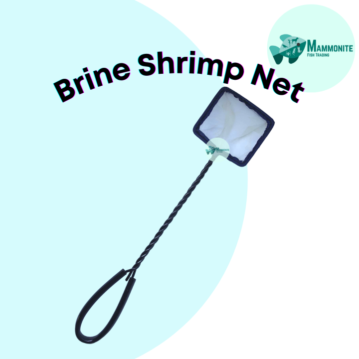 Brine Shrimp Net BBS Fine Net Harvest Filter Scoop Live Food Catch ...