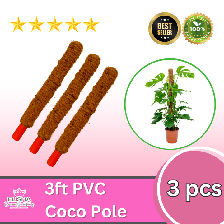 3PCS 3FT COCO POLE | Lazada PH