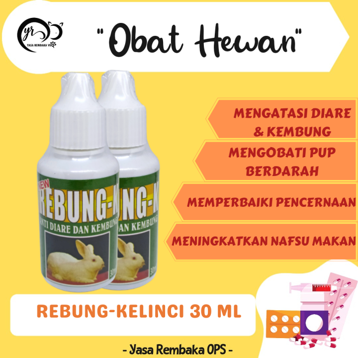 REBUNG-K KELINCI 30 ml - Obat Anti Diare dan Kembung Kelinci | Lazada ... REBUNG-K KELINCI 30 ml - Obat Anti Diare dan Kembung Kelinci | Lazada ...