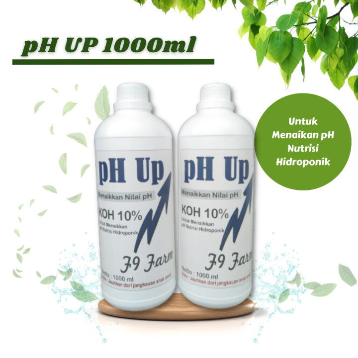 pH Up Nutrisi Hidroponik 1 liter | Lazada Indonesia