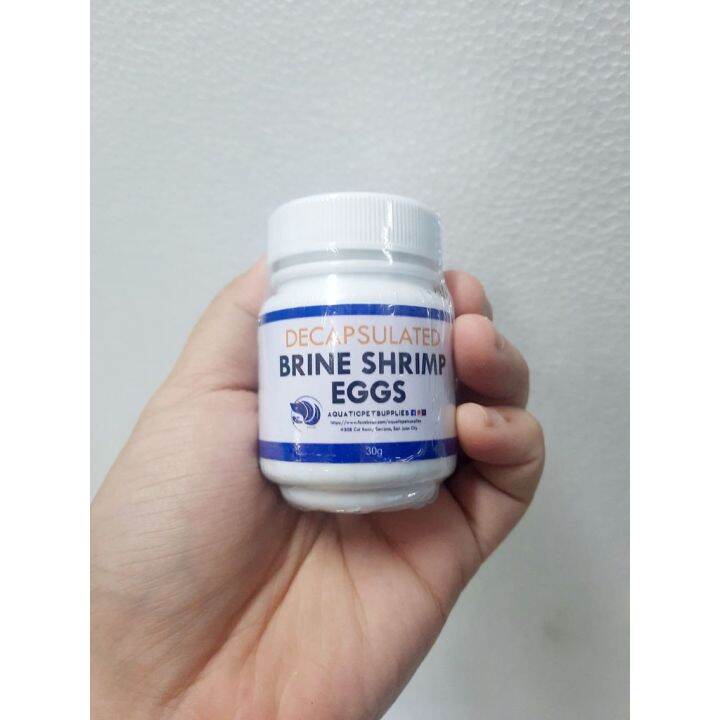 DECAPSULATED BRINE SHRIMP, NO NEED TO HATCH, HIGH PROTEIN FOOD FOR ALL ...