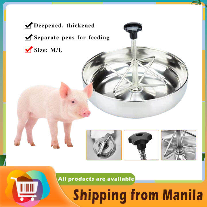 Stainless Steel Piglet Feeder Trough Livestock Automatic Waterer ...