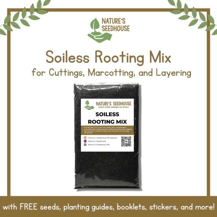nomandy Soilless Rooting Mix (Organic) for Cuttings / Marcotting ...