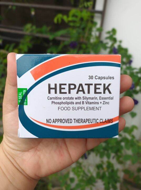 Hepatek with Silymarin, Essential Phospholipids and B Vitamins + Zinc ...