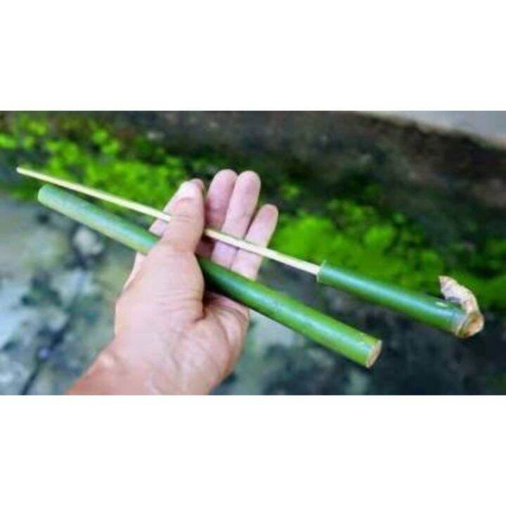 mainan anak tradisional pletokan | Lazada Indonesia