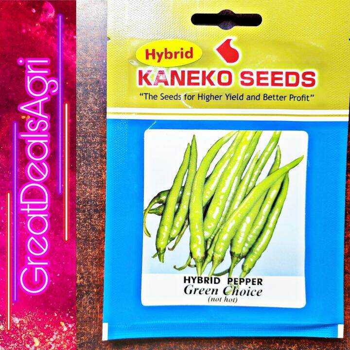 GREEN CHOICE (NOT HOT) HYBRID HOT PEPPER PANIGANG SEEDS (120 SEEDS ...
