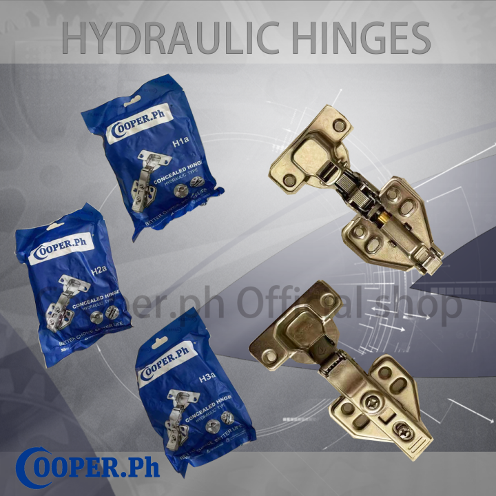 Cooper.ph 2pcs Hydraulic soft close Concealed Hinges Regular for ...