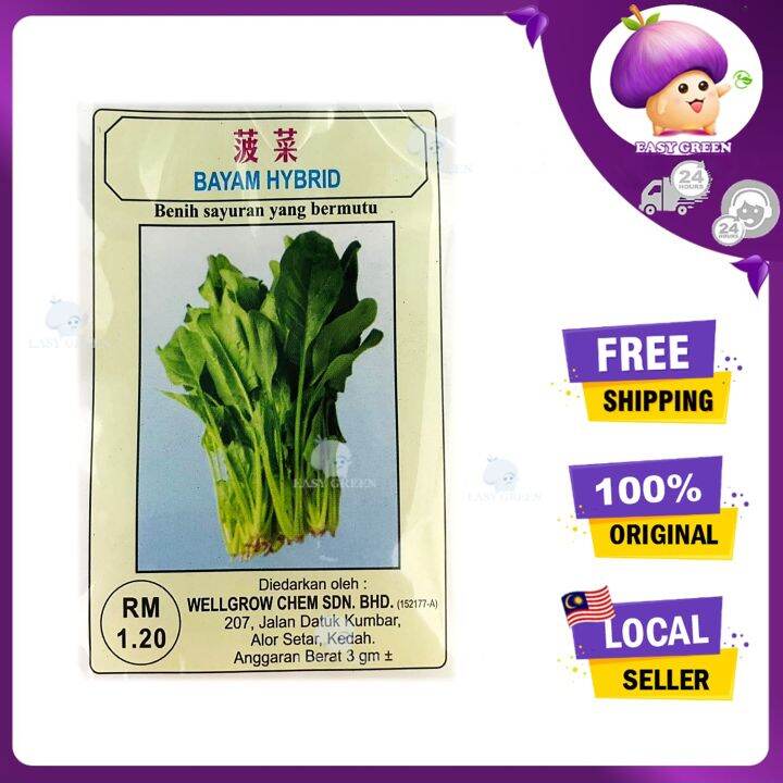 SFS Bayam Hybrid Spinach/WG BAYAM HYBRID/BAYAM HYBRID/HYBRID SPINACH ...