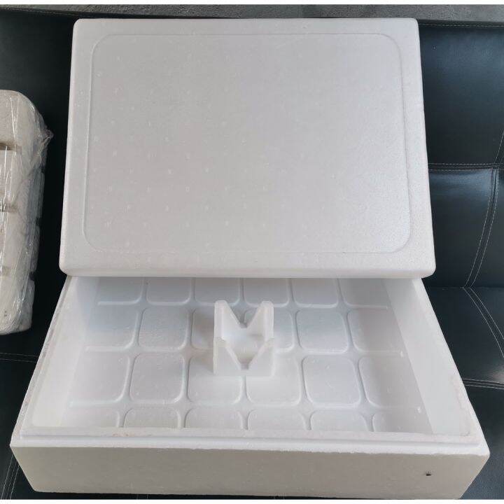 Styrofoam Hydroponics Grow Box☃ | Lazada PH