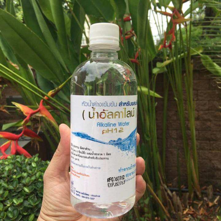 น้ำด่าง น้ำอัลคาไลน์ pH12 สวนปานะ (Alkaline Water pH12) หัวน้ำด่าง ...