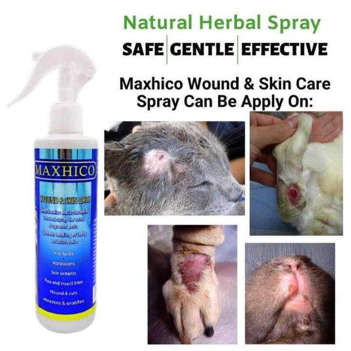 MAXHICO Wound & Skin Care Spray For Cats Dogs & Small Animals 300ml ...