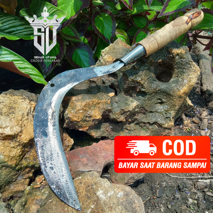 HARGA PROMO Sabit Potong Rumput Bentuk Madura Baja Asli Super Tajam ...