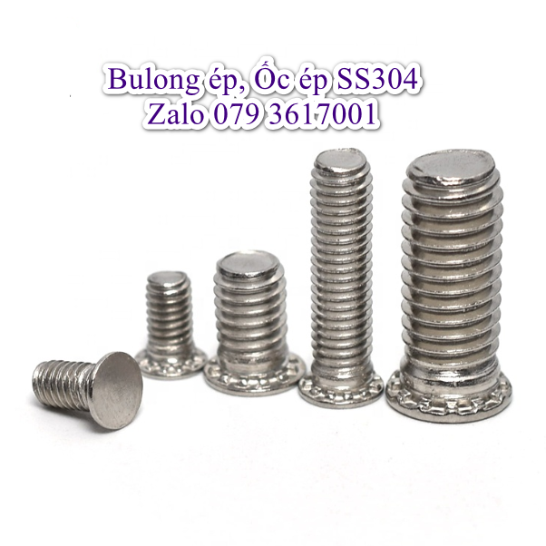 BULONG ÉP INOX 304 , ỐC ÉP INOX 304 , BULONG TỰ GIỮ INOX 304 , VÍT ...