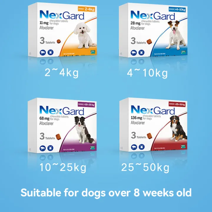 NexGard Deworming Medicines for Pet Dog Tick and Flea Deworming | Lazada PH