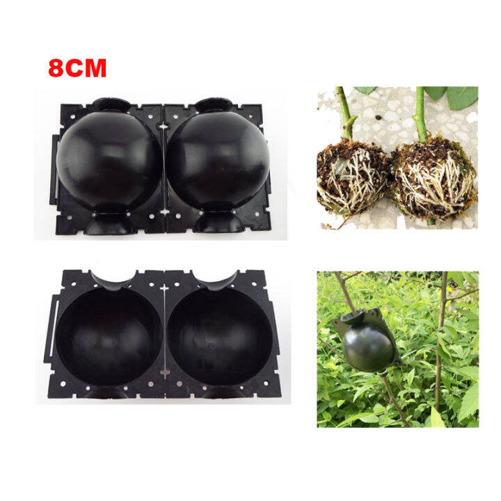 8cm Fruit Tree Root Box Plant Rooting Ball Case Planter Cases Grafting ...