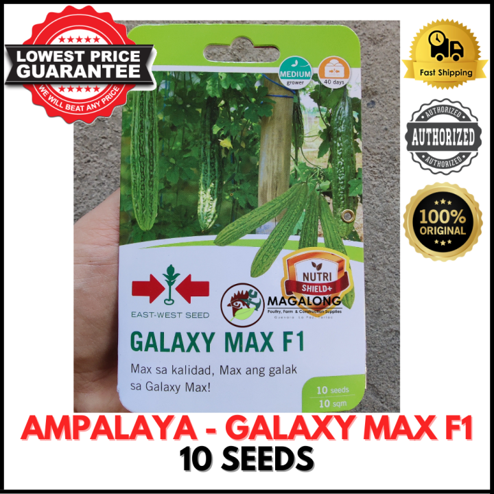 EAST-WEST SEEDS - AMPALAYA SEEDS - GALAXY MAX F1 HYBRID - 10 SEEDS | Lazada PH