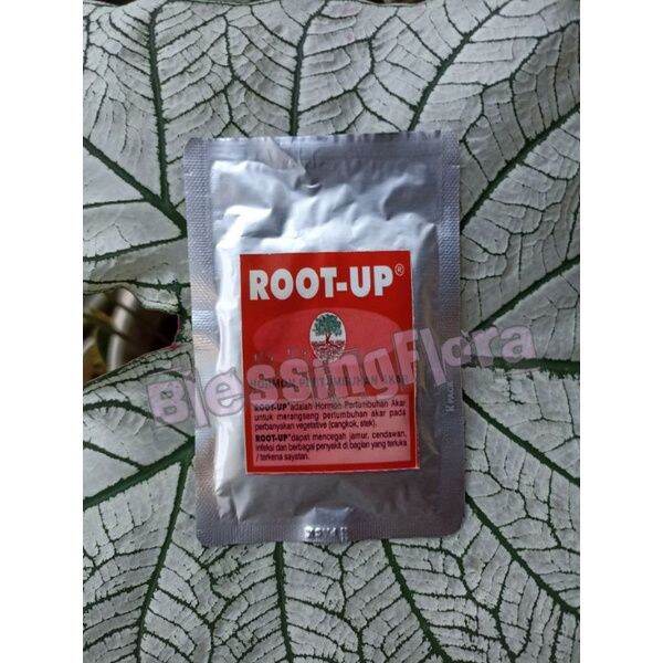 Root Up Kemasan 10gr Hormon Pertumbuhan Akar | Lazada Indonesia