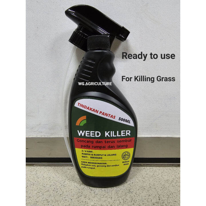 DIY Weed Spray 500 ml goncang terus pakai. Racun Rumput untuk rumah ...