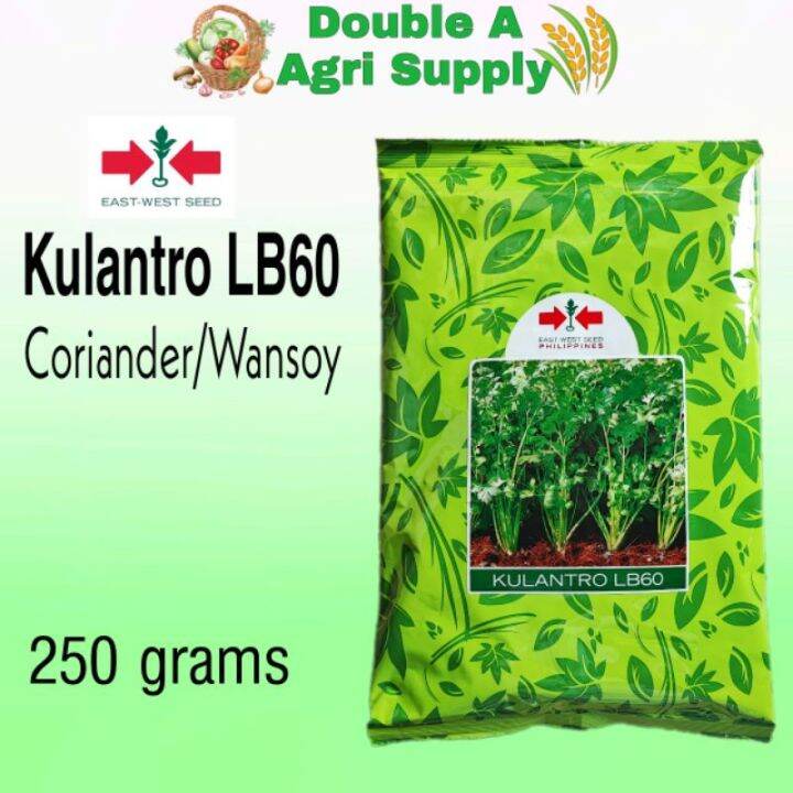 Kulantro LB60 Coriander / Cilantro / Wansoy - East West Seeds | Lazada PH