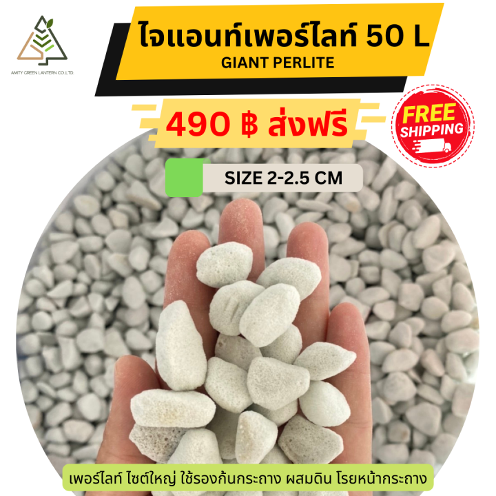 ไจแอนท์เพอร์ไลท์ GIANT PERLITE 2-2.5 CM | Lazada.co.th