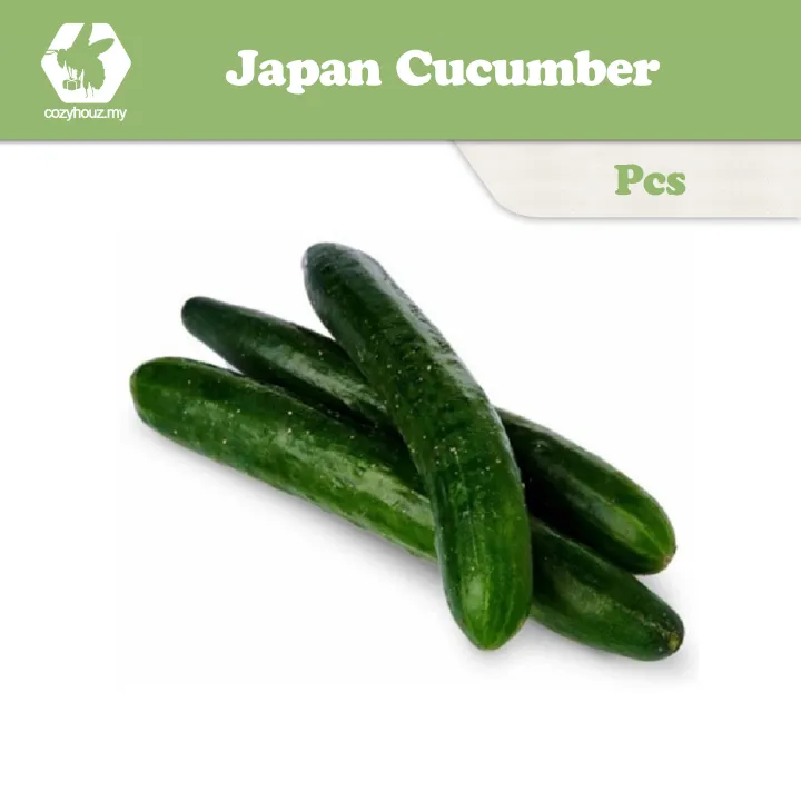 [BTW & PNG AREA ONLY] Japan Cucumber / Timun Japan 1 Piece | Lazada