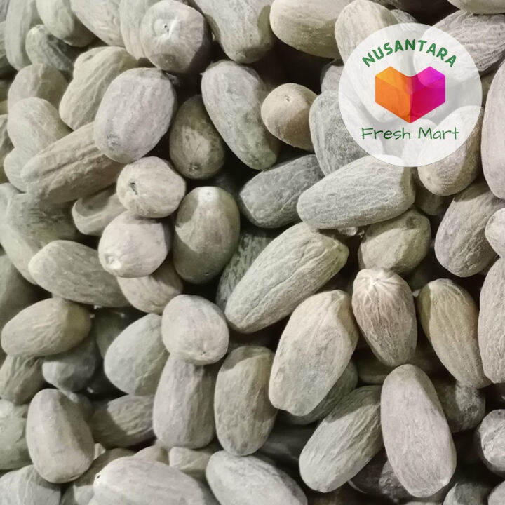 Buah Biji Pala Lonjong Kering | Lazada Indonesia