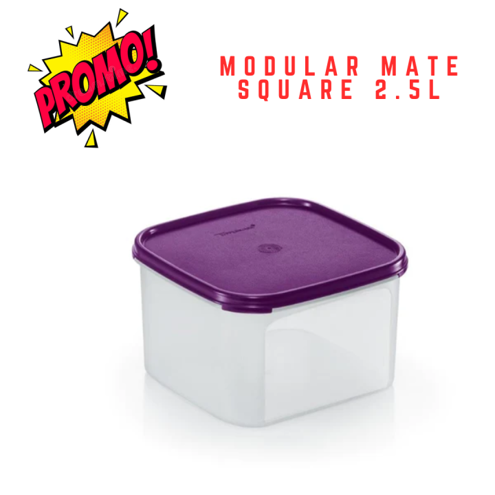 FOOD STORAGE - Tupperware Modular Mates Square | Lazada