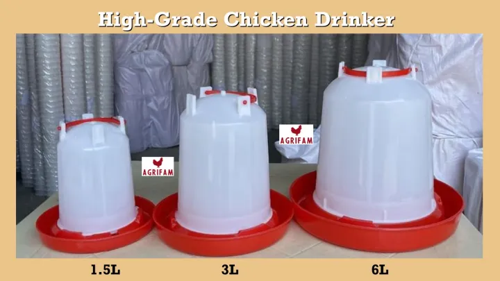 Chicken Drinker | Lazada PH
