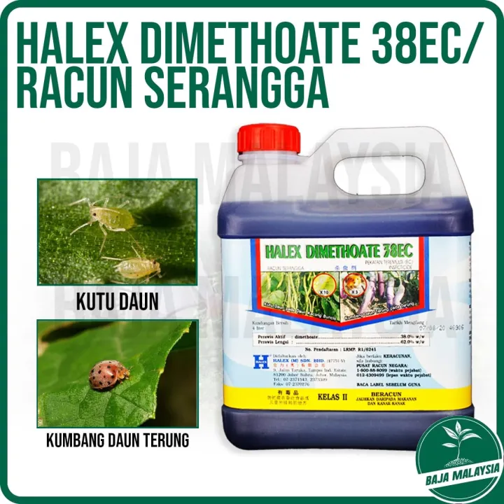 HALEX Dimethoate 4 Liter Dimethoate 38% Insecticide Racun Serangga Kutu ...