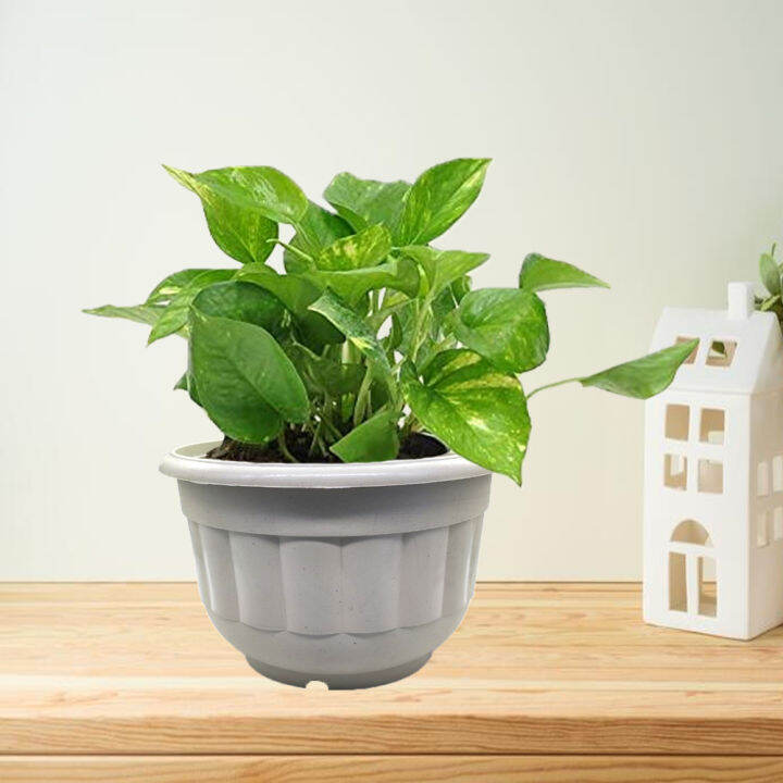 Plastic Flower Pot Rounded Pot High Quality Plastic Garden Flower Pot ...