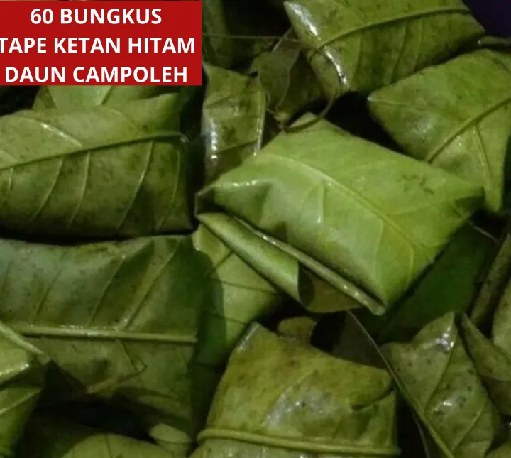 TAPE / PEUYEUM CILILIN GIUNG 60 BUNGKUS DAUN CAMPOLEH | Lazada Indonesia