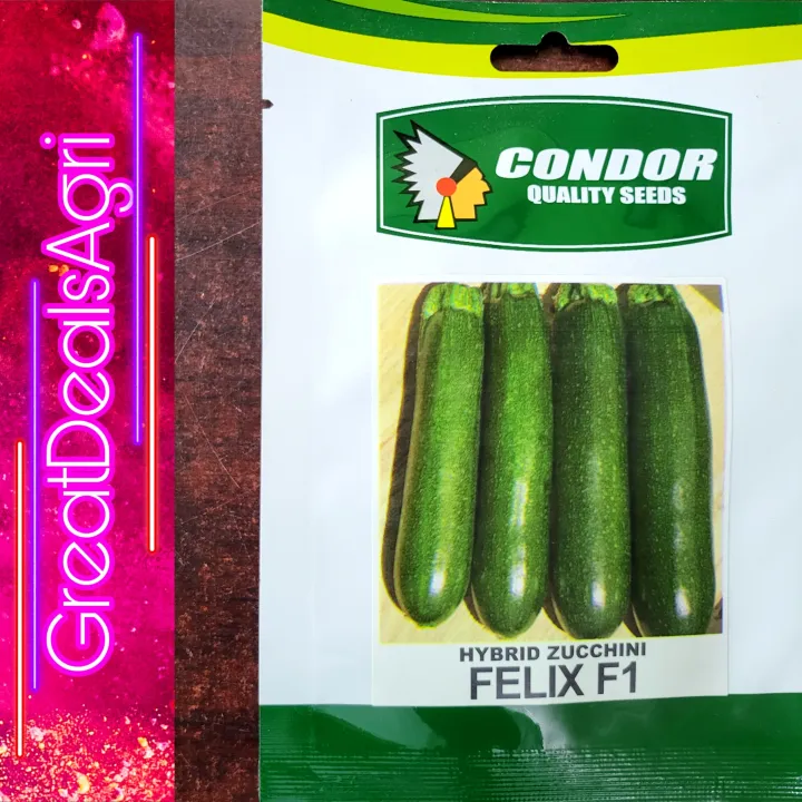 FELIX F1 HYBRID ZUCCHINI SEEDS (20 SEEDS) CONDOR SEEDS | Lazada PH