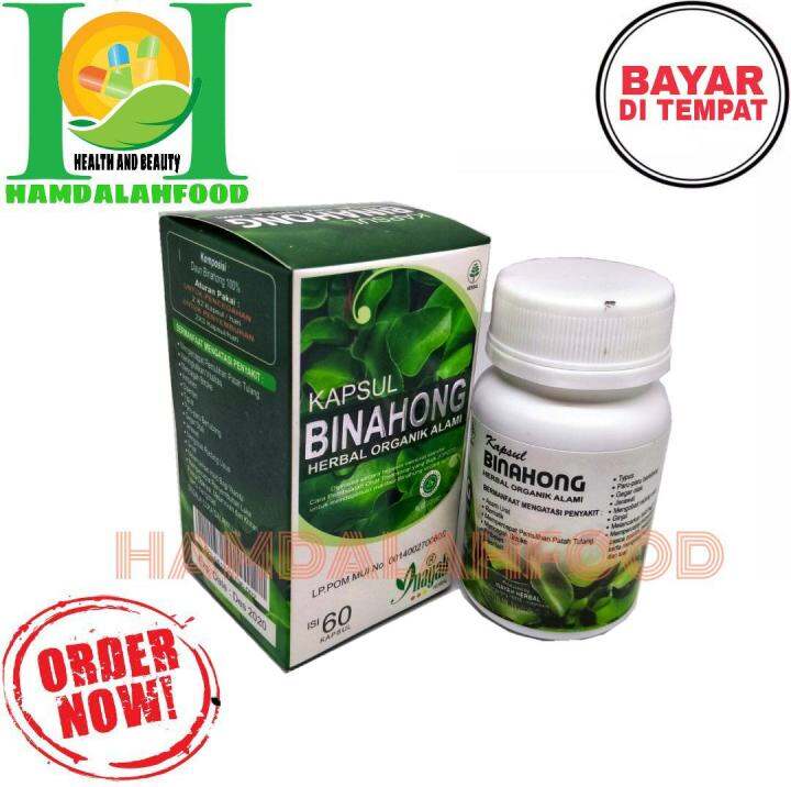 Hamdalahfood Herbal Ekstrak Kapsul Daun Binahong Inayah - 60 Kapsul | Lazada Indonesia