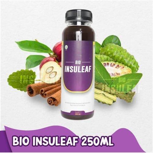 Bio Insuleaf Obat Diabetes dan Kolesterol Bioinsuleaf Isi 250 ml ...